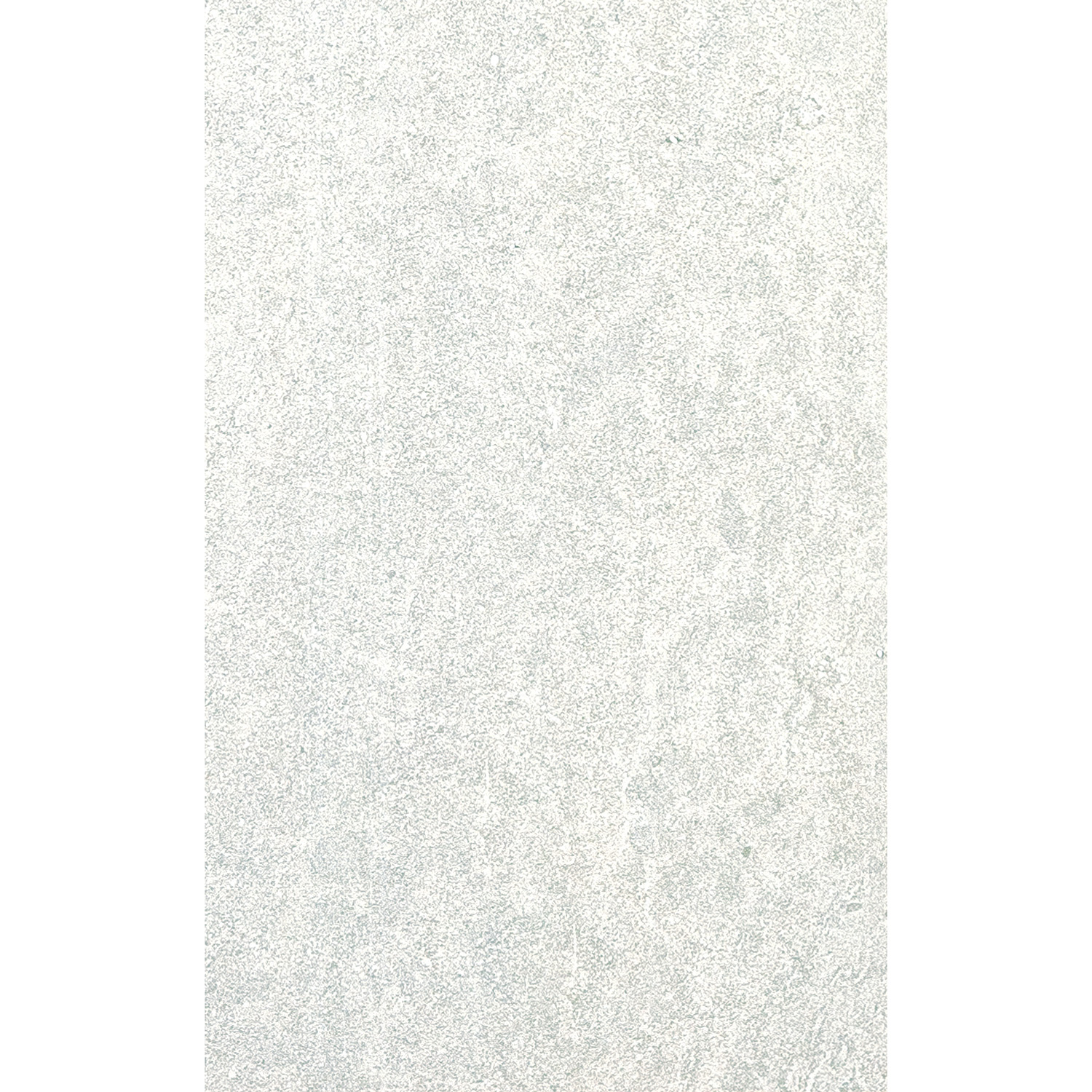 Jurassic Blanco Ceramic Wall Tile | New Image Tiles